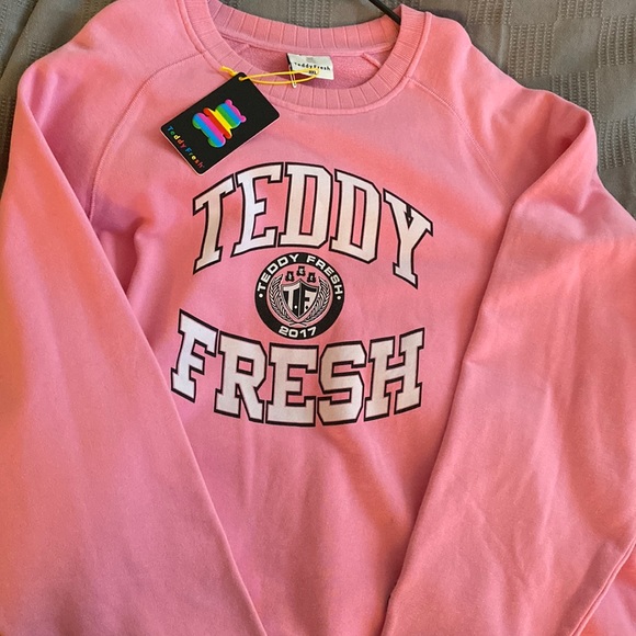 Teddy Fresh | Tops | Rare Teddy Fresh Vintage Sweatshirt 3x Pink | Poshmark